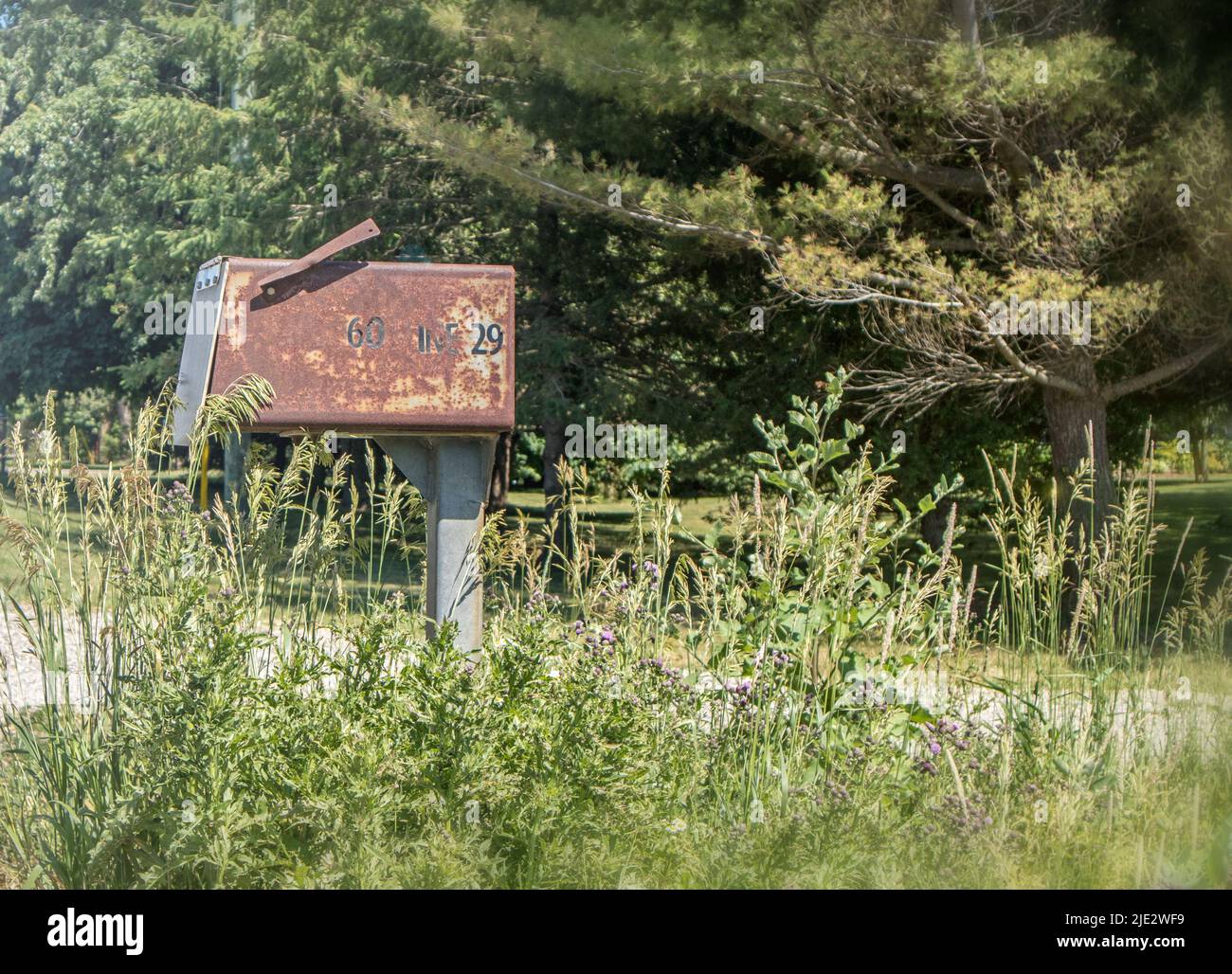 A romantic view of an old rusty mail box, romantic scenery Stock Photo ...
