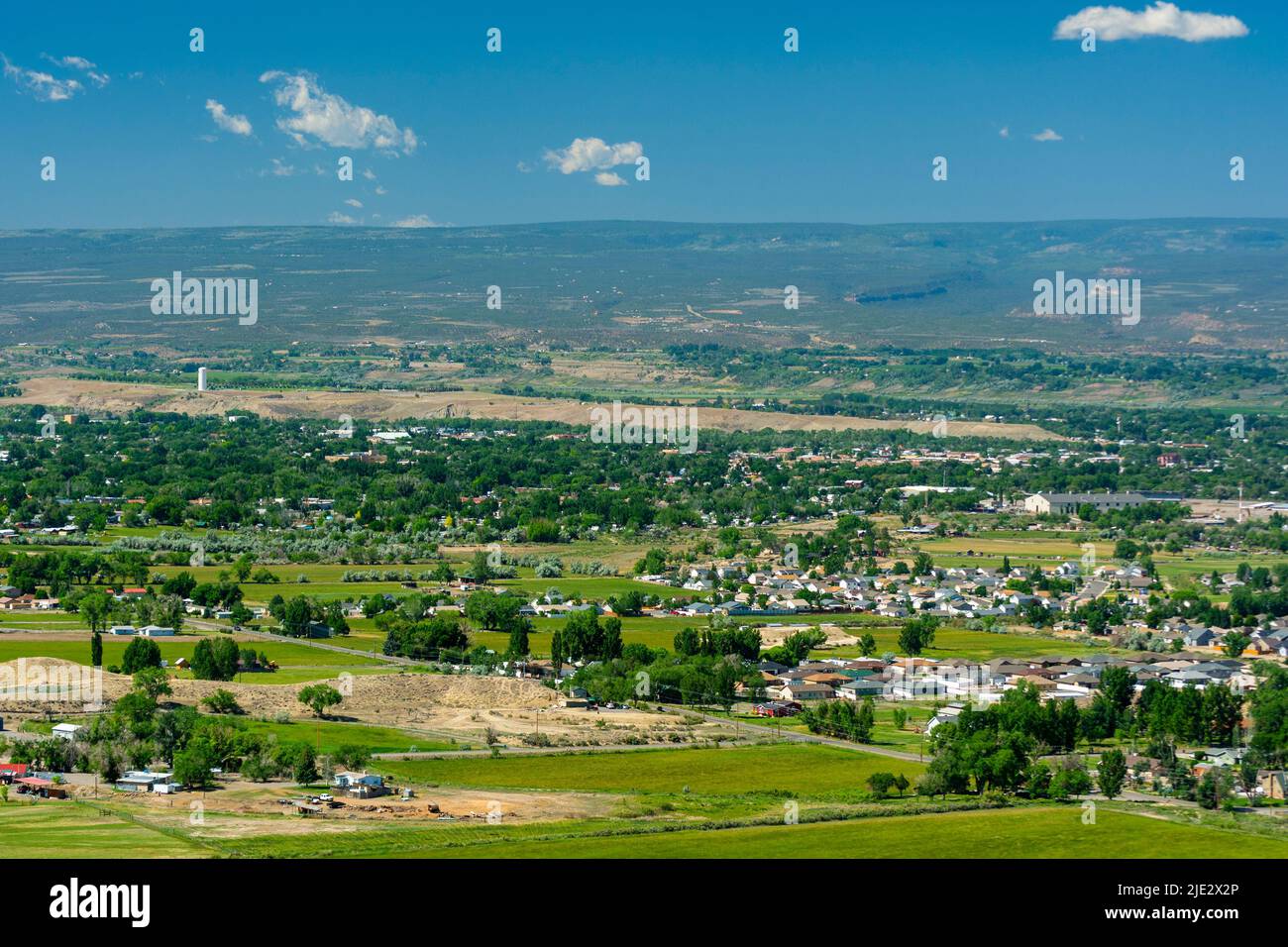 American montrose hi-res stock photography and images - Alamy