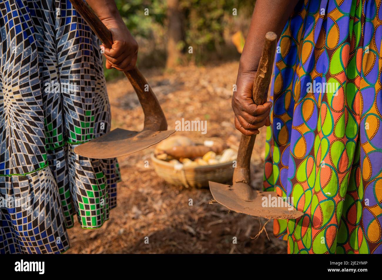 Close-up of the hands of two African women holding two hoes with a ...