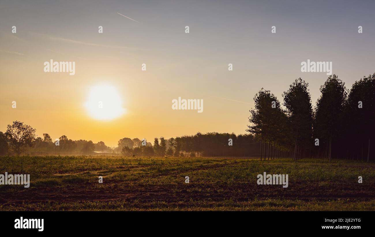 Land of joy hi-res stock photography and images - Alamy