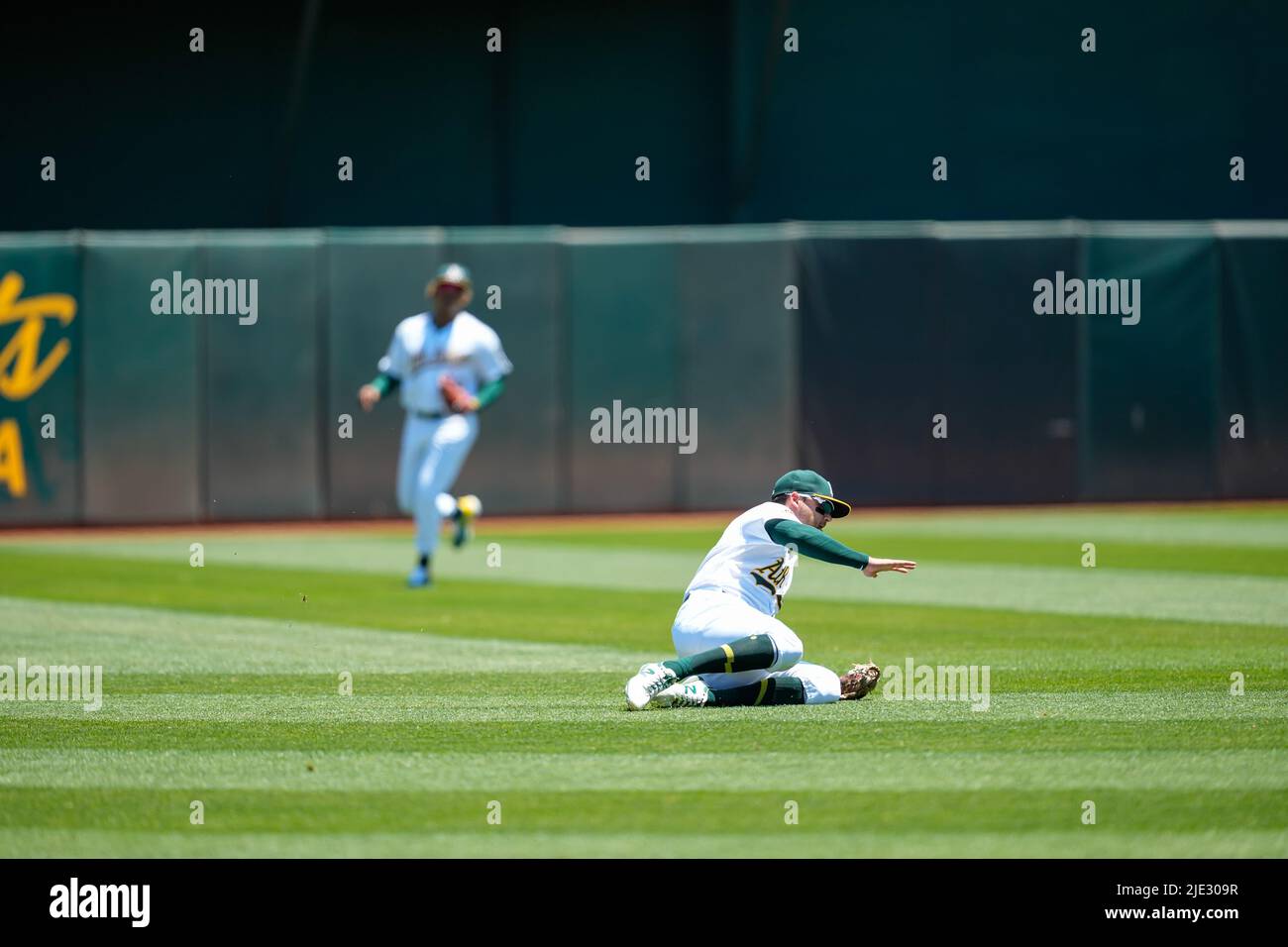 Oakland Athletics Outfielder Chad Pinder (10) catches the ball for an ...