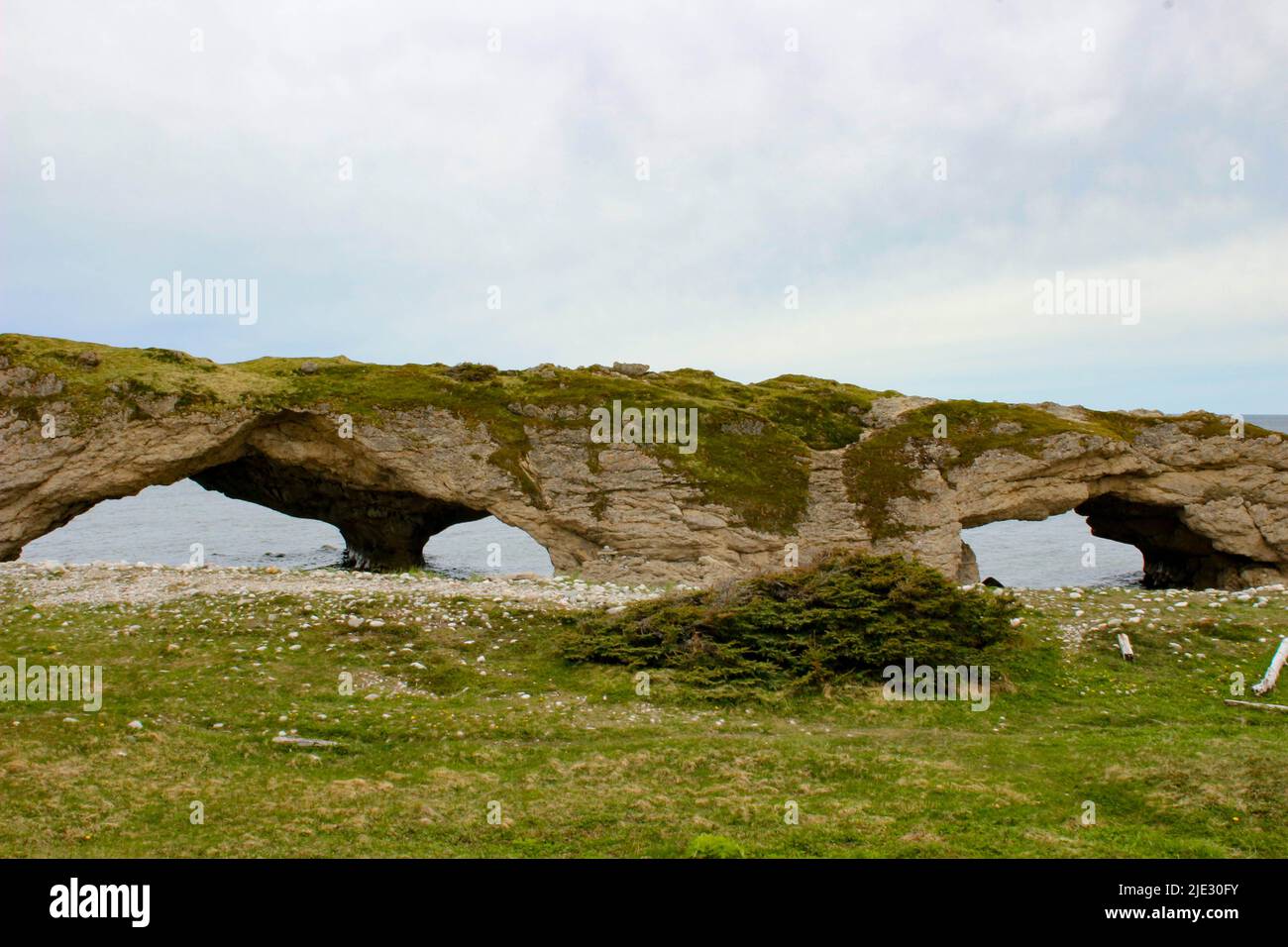 Unique photo of arches provincial park in newfoundland Stock Photo - Alamy