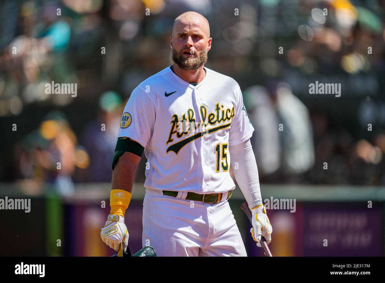 Oakland Athletics Infielder Seth Brown (15) during an MLB game between ...