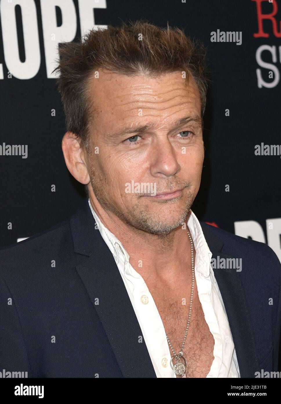 022 June 2022 - West Hollywood, California - Sean Patrick Flanery ...