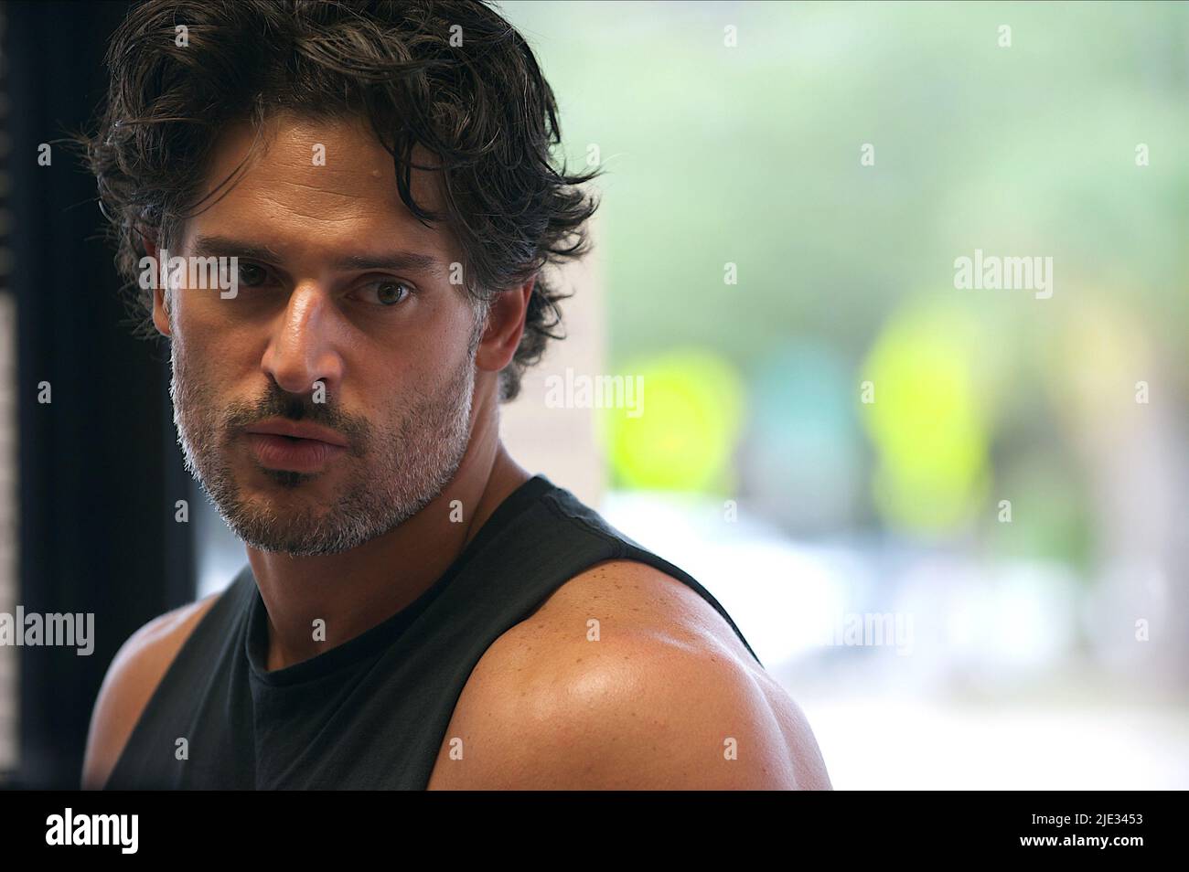 JOE MANGANIELLO, MAGIC MIKE XXL, 2015 Stock Photo - Alamy
