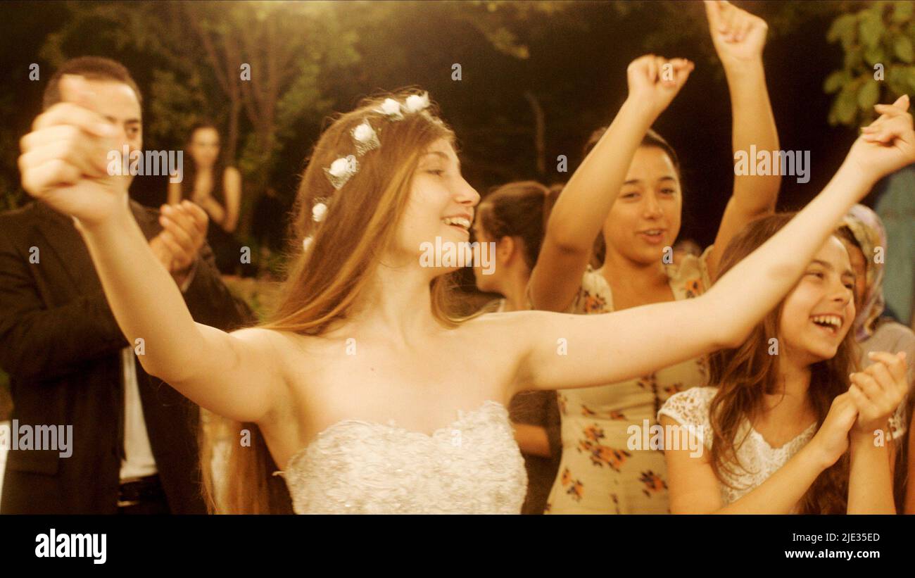 2015 mustang hi-res stock photography and images - Alamy