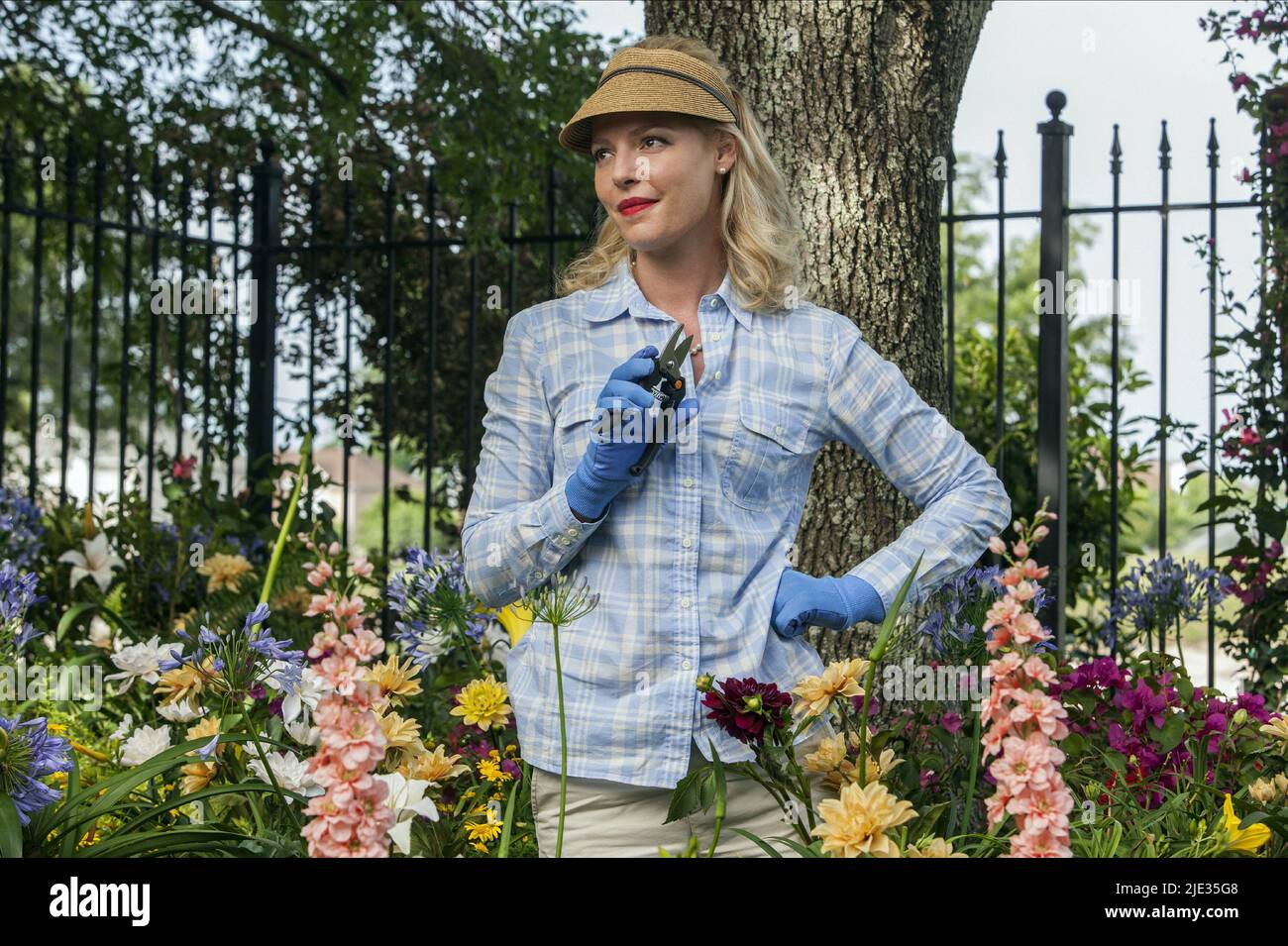 KATHERINE HEIGL, HOME SWEET HELL, 2015 Stock Photo - Alamy