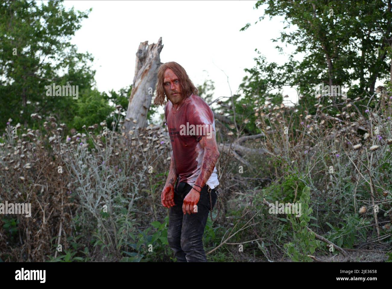 Ethan embry hi-res stock photography and images - Alamy