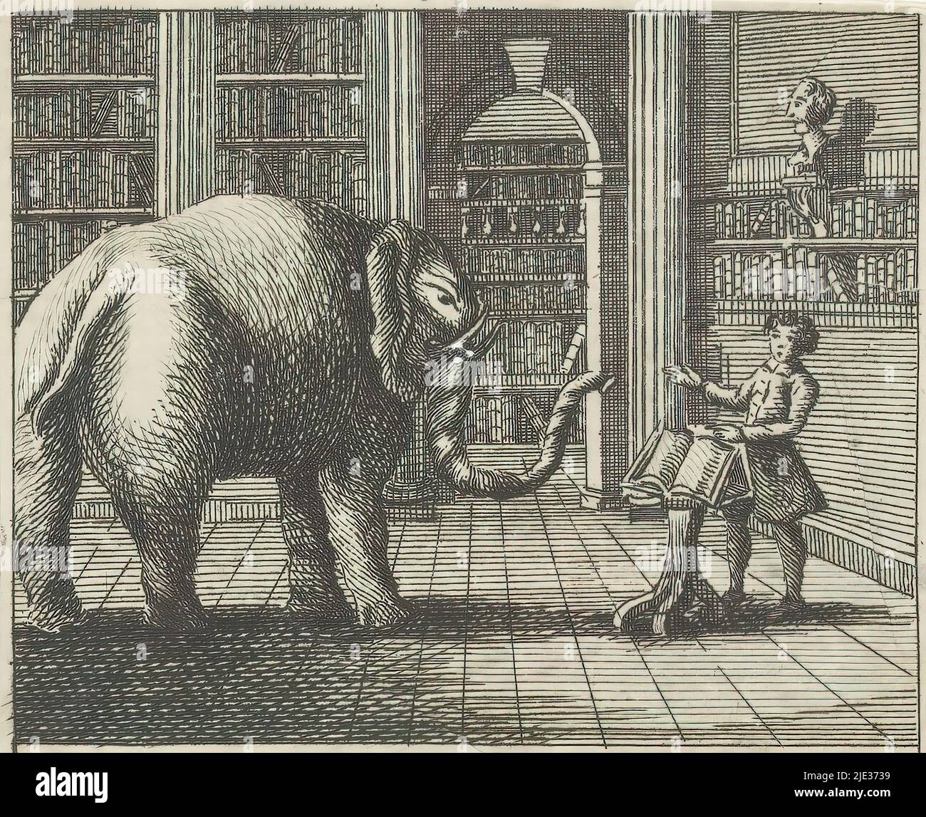 Elephant and the Bookseller, In an interior full of bookcases, an ...