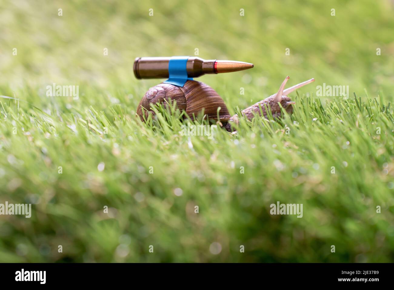 Ukrainian battle snail with lend-lease armor on mission Stock Photo - Alamy