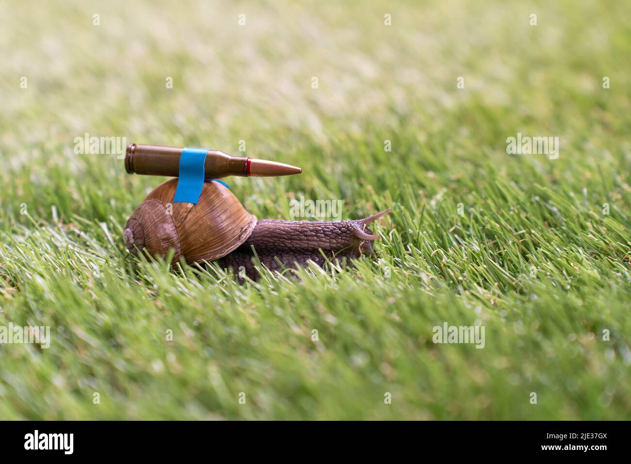 Ukrainian battle snail with lend-lease armor on mission Stock Photo - Alamy