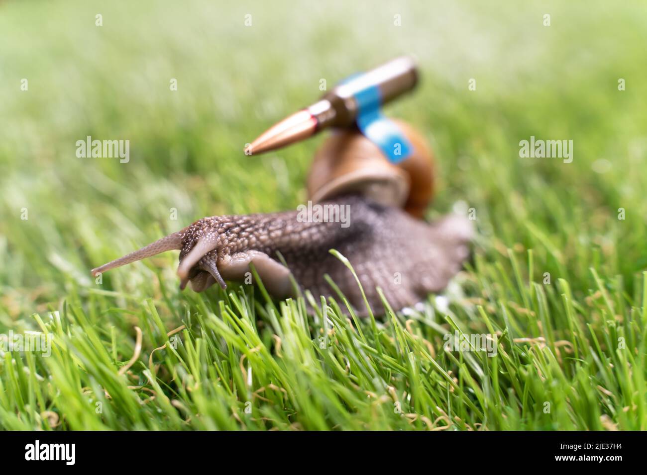 Ukrainian battle snail with lend-lease armor on mission Stock Photo - Alamy