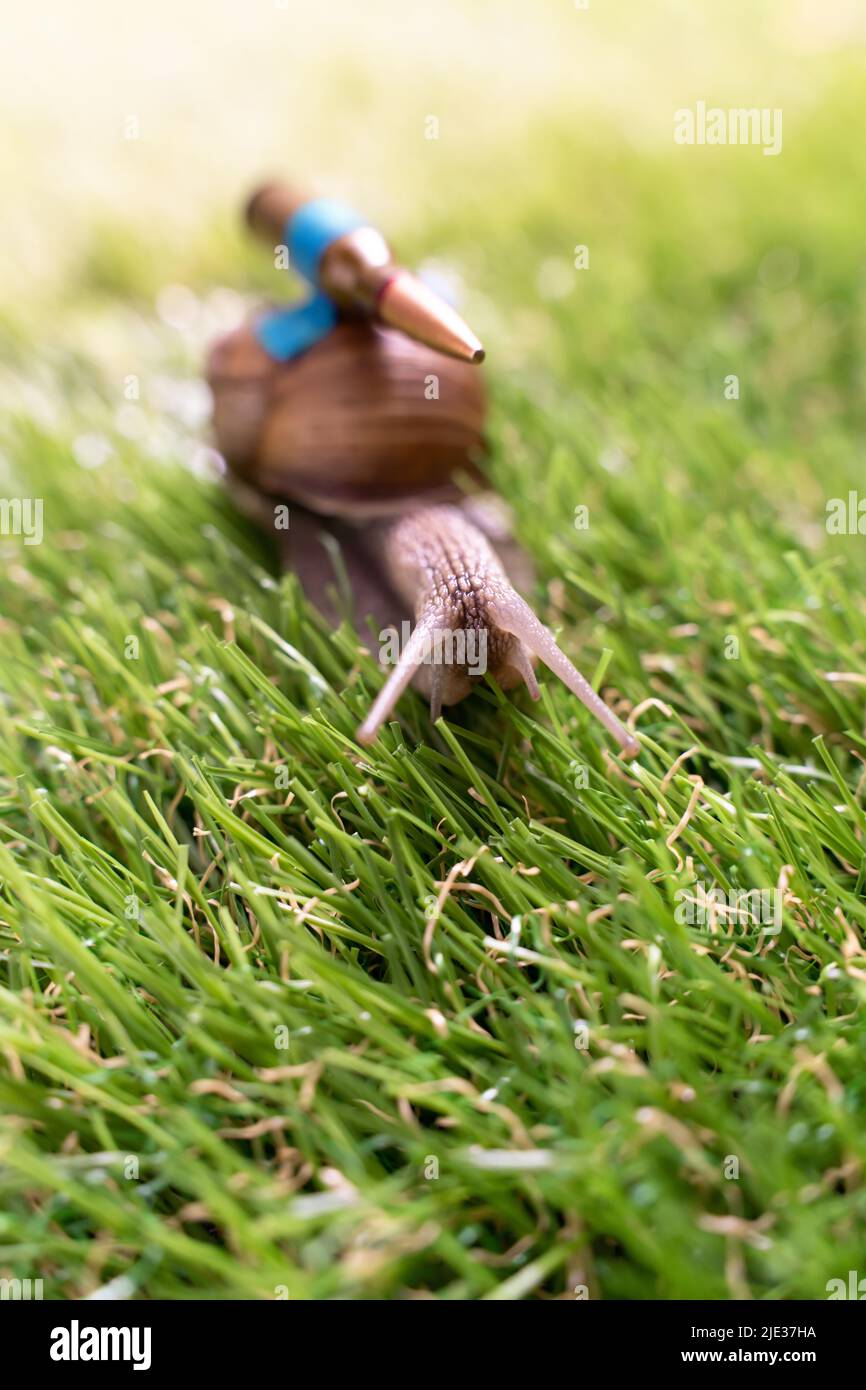 Ukrainian battle snail with lend-lease armor on mission Stock Photo - Alamy