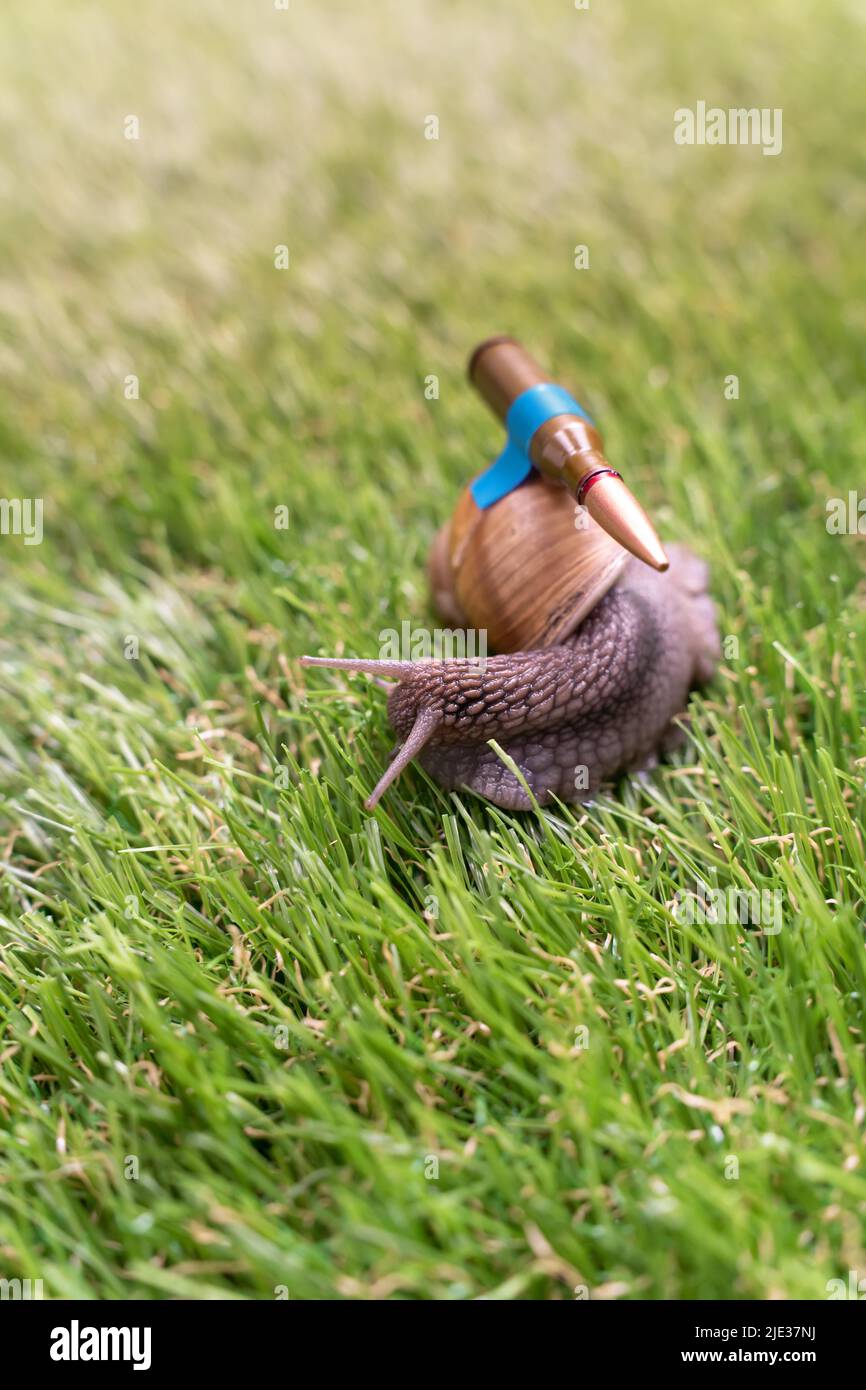 Ukrainian battle snail with lend-lease armor on mission Stock Photo - Alamy