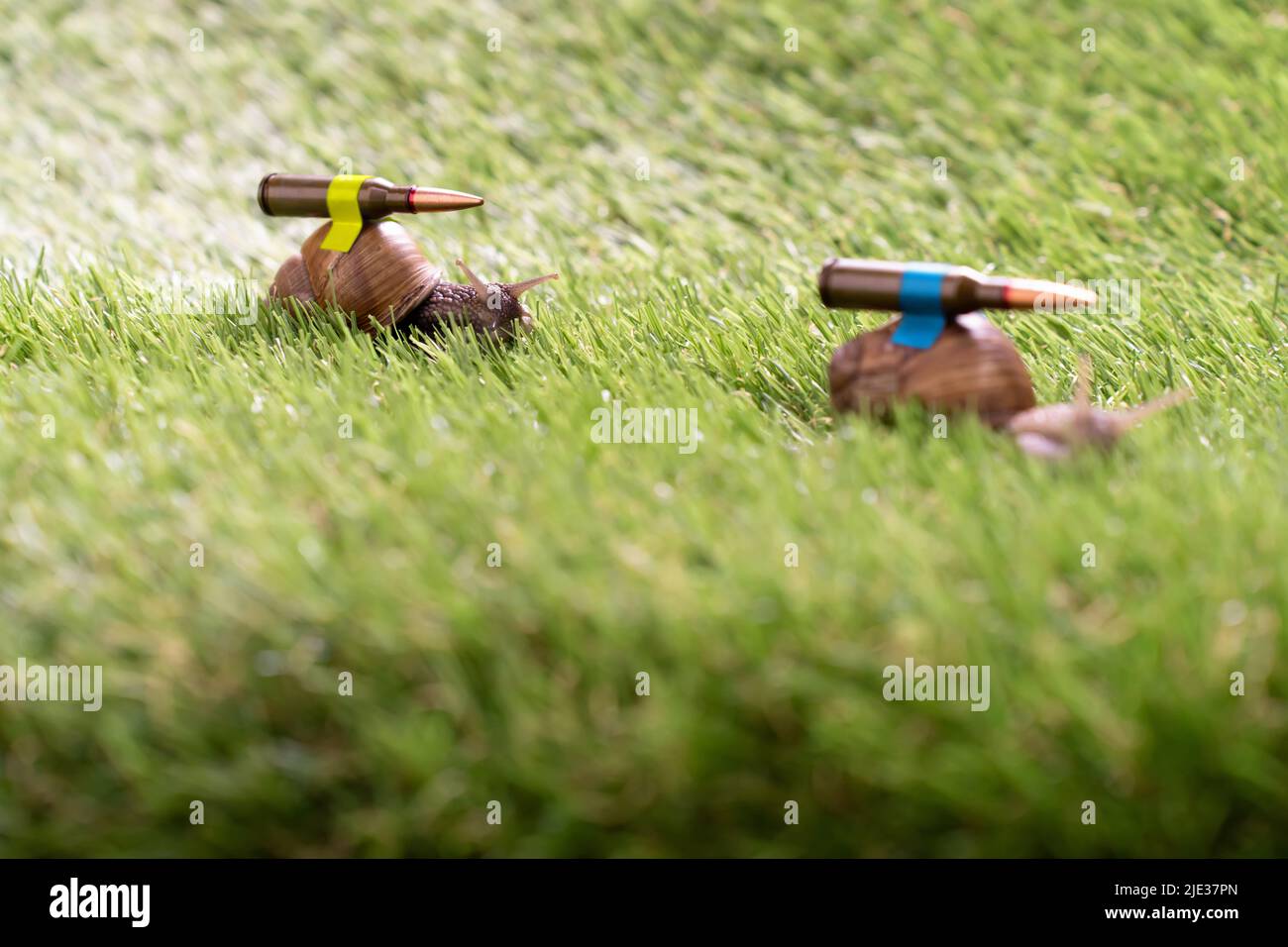 Ukrainian battle snails with lend-lease armor on mission Stock Photo ...