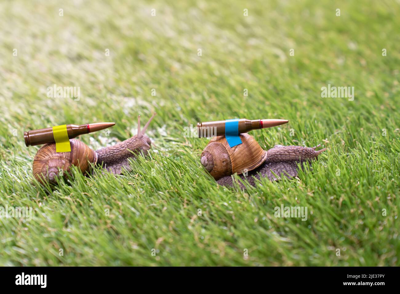 Ukrainian battle snails with lend-lease armor on mission Stock Photo ...