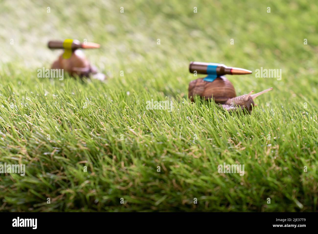 Ukrainian battle snails with lend-lease armor on mission Stock Photo ...