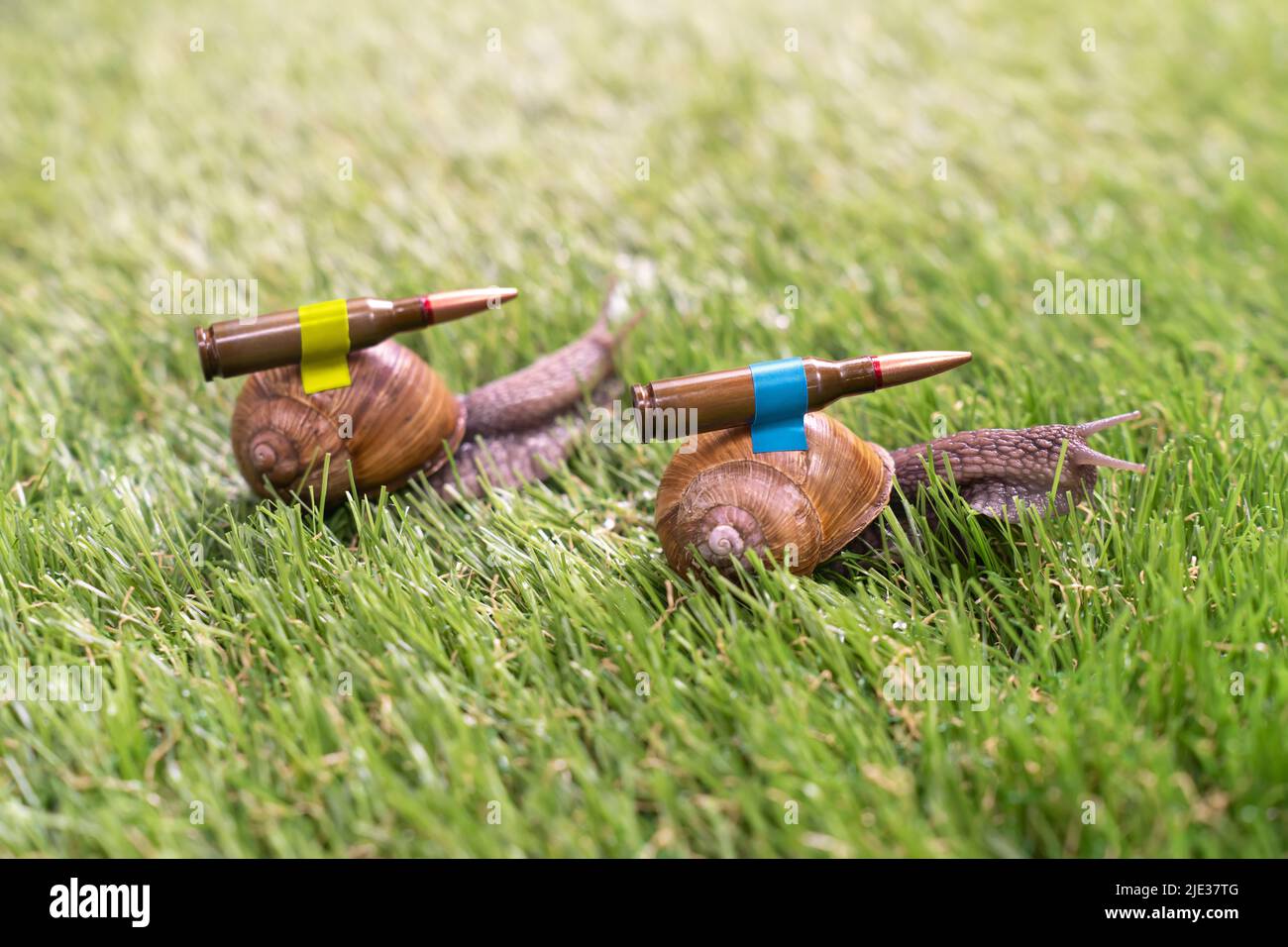 Ukrainian battle snails with lend-lease armor on mission Stock Photo ...