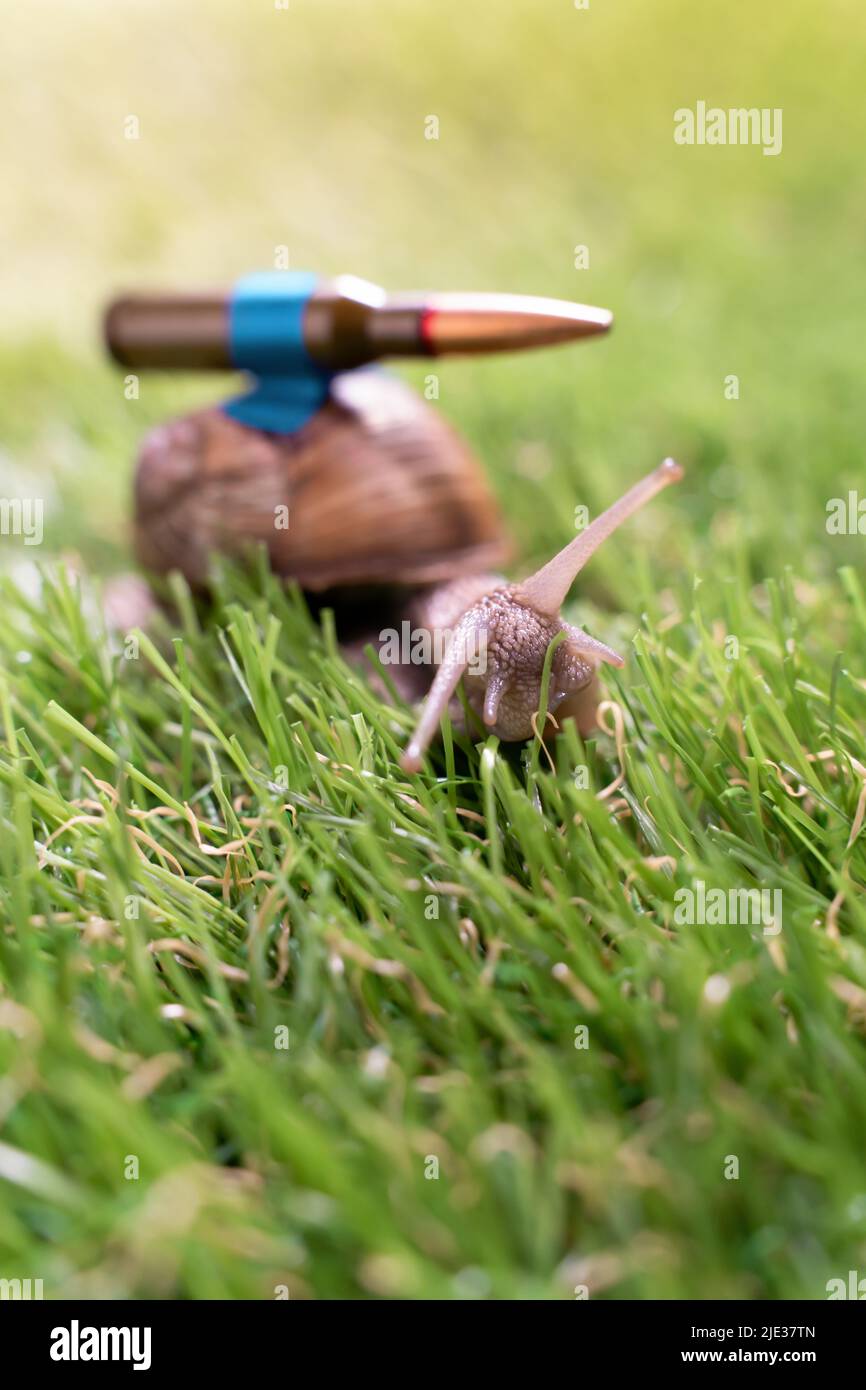 Ukrainian battle snail with lend-lease armor on mission Stock Photo - Alamy