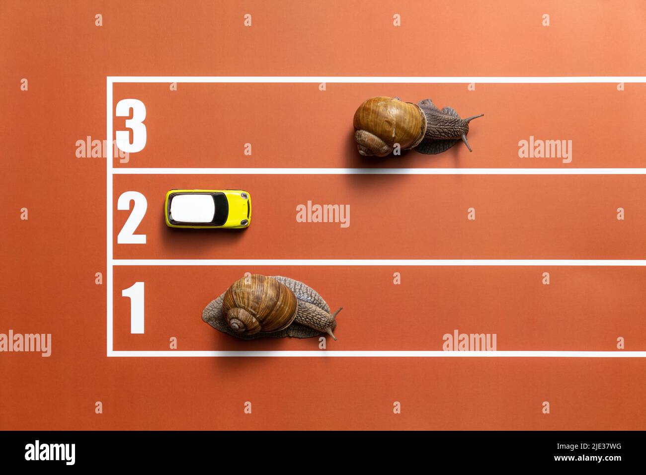 Joke competition of snails on stadium tracks Stock Photo - Alamy