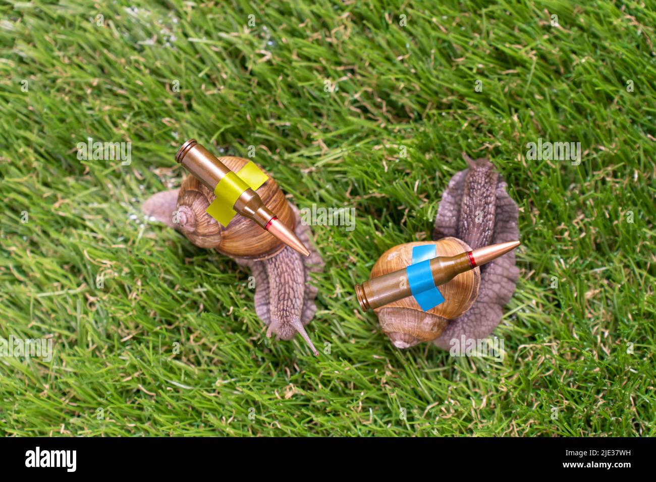 Ukrainian battle snails with lend-lease armor on mission Stock Photo ...