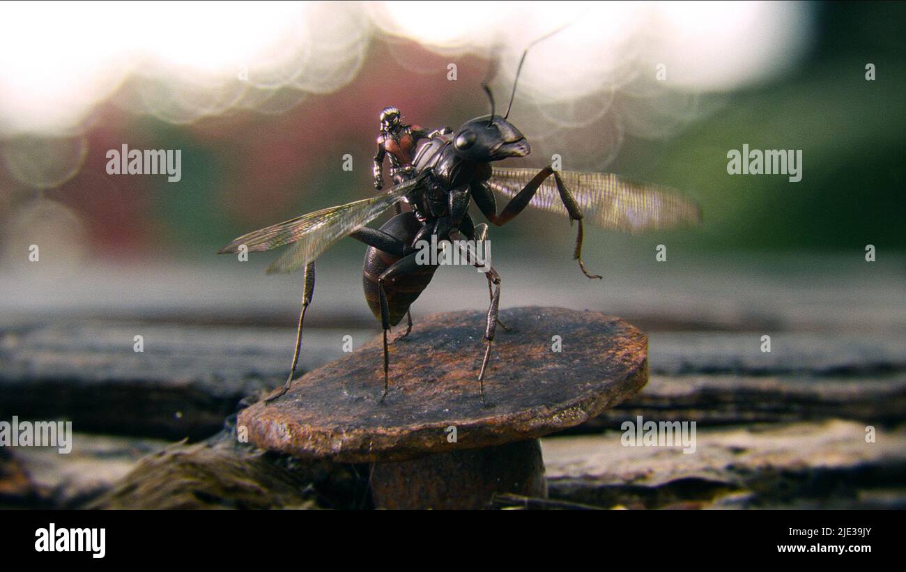 Scott lang ant man in hi-res stock photography and images - Alamy
