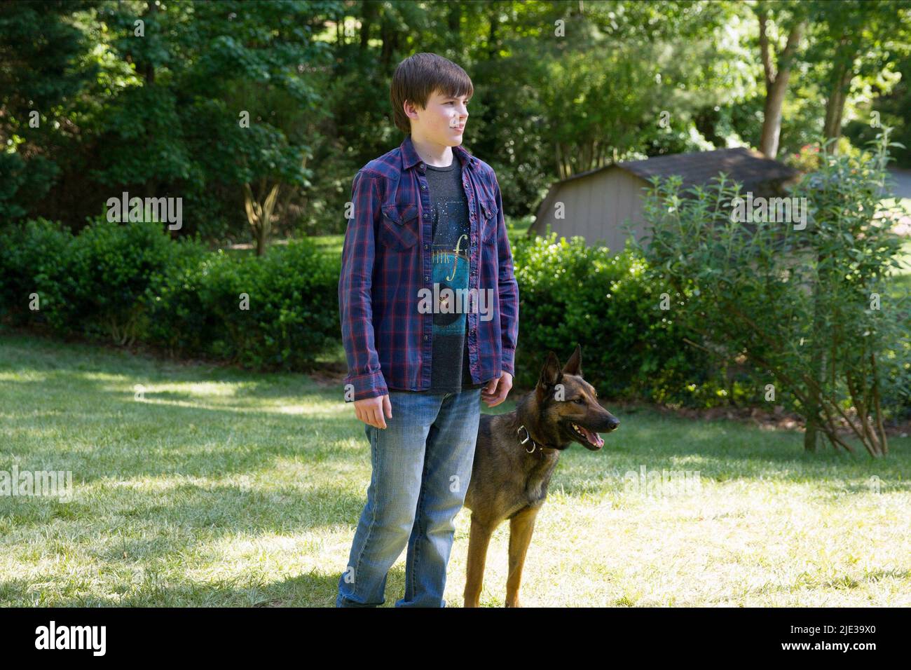 Length max hi-res stock photography and images - Alamy