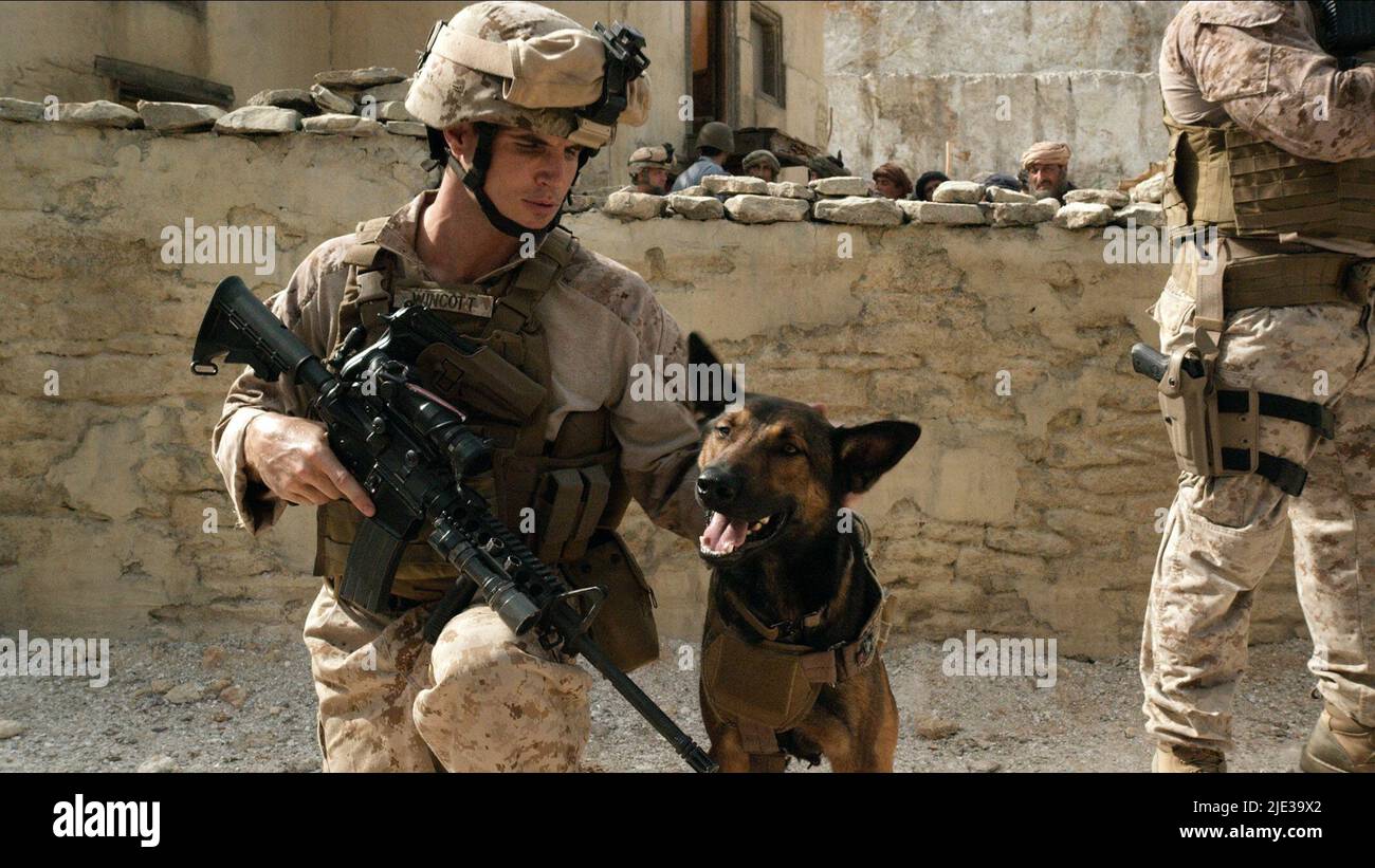 Robbie amell hi-res stock photography and images - Alamy