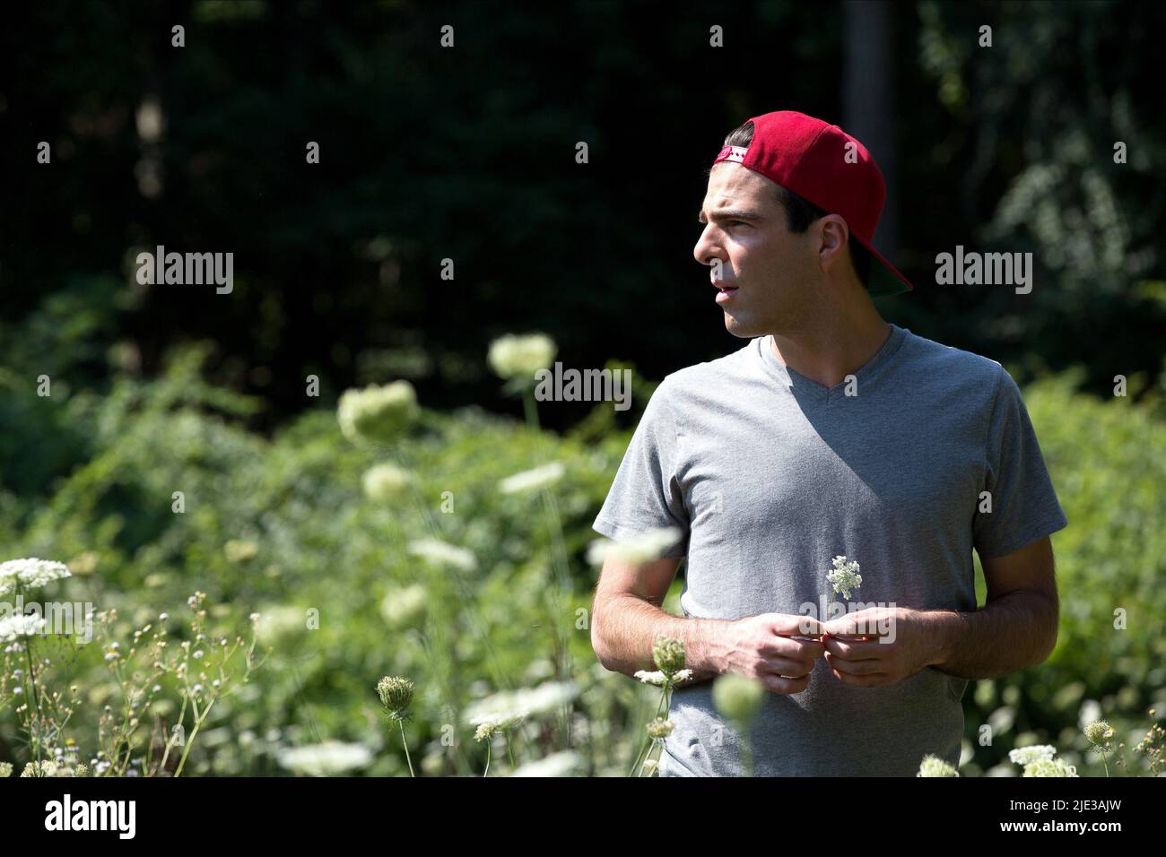 Quinto i hi-res stock photography and images - Alamy