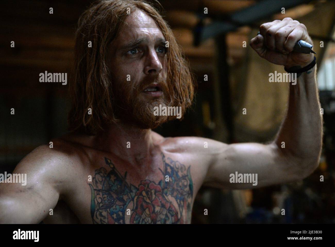 ETHAN EMBRY, THE DEVIL'S CANDY, 2015 Stock Photo - Alamy