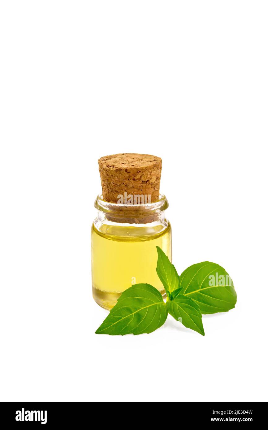 Oil in a vial with basil isolated on white background Stock Photo - Alamy