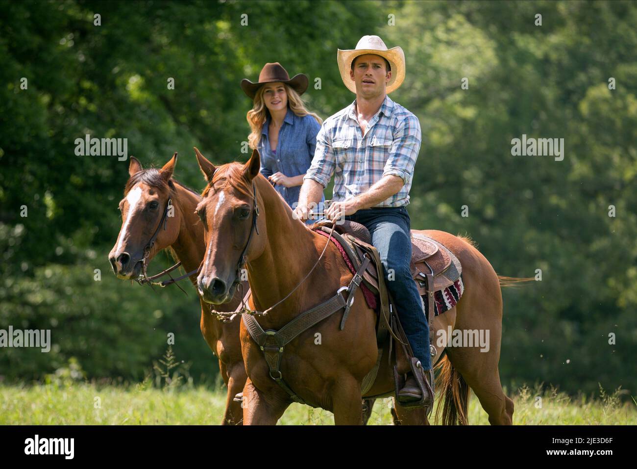 ROBERTSON,EASTWOOD, THE LONGEST RIDE, 2015 Stock Photo - Alamy
