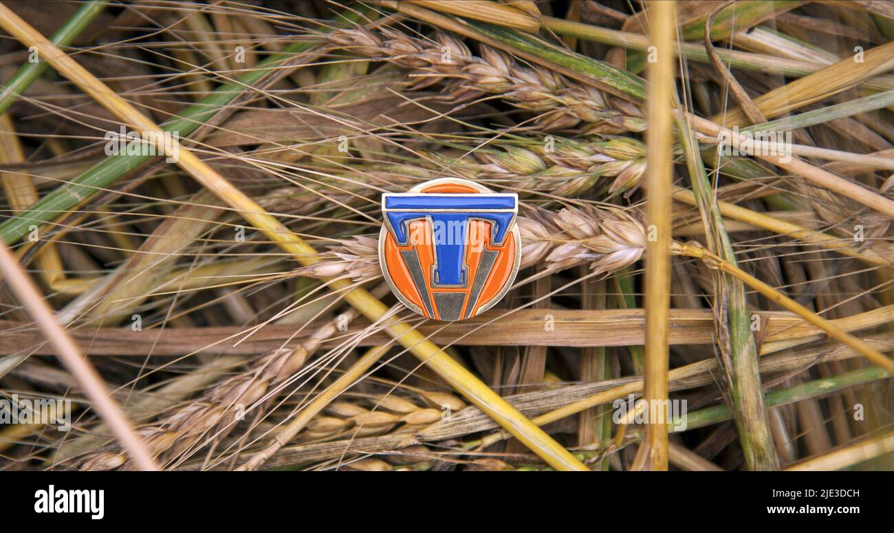 BADGE, TOMORROWLAND, 2015 Stock Photo - Alamy
