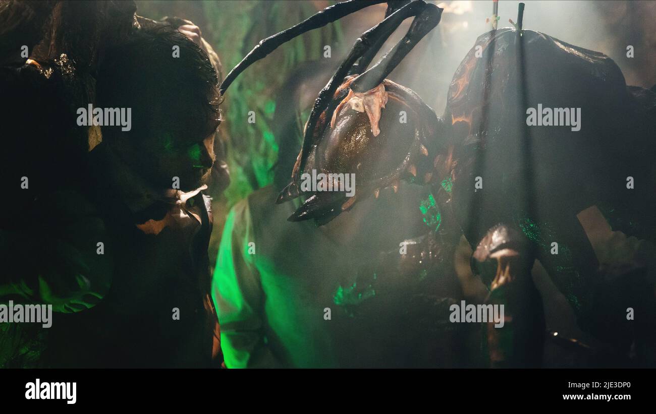 Stung wasp hi-res stock photography and images - Alamy