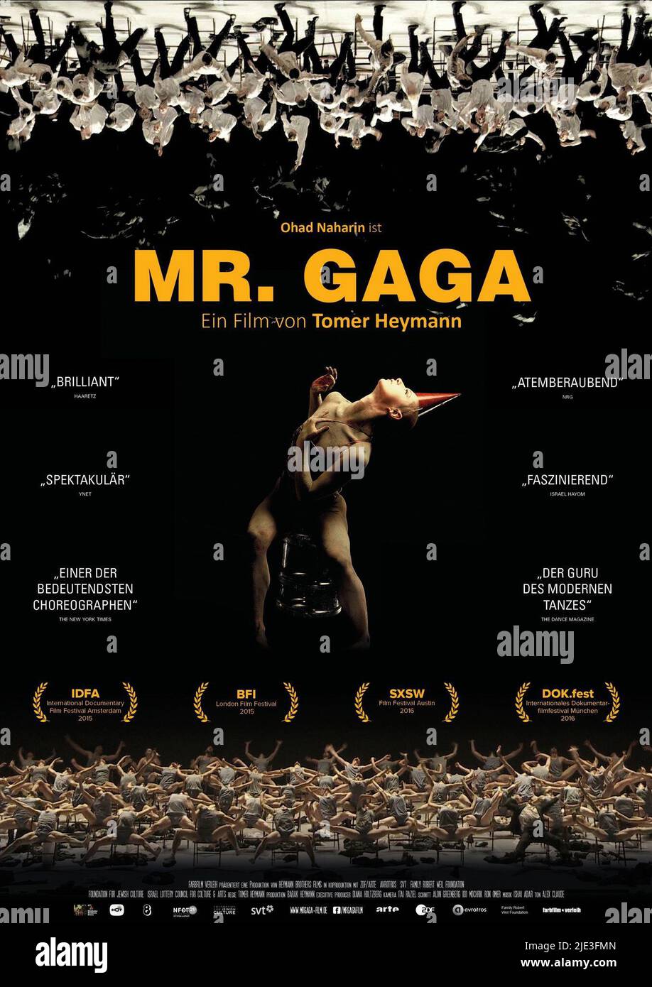 MOVIE POSTER, MR. GAGA, 2015 Stock Photo - Alamy
