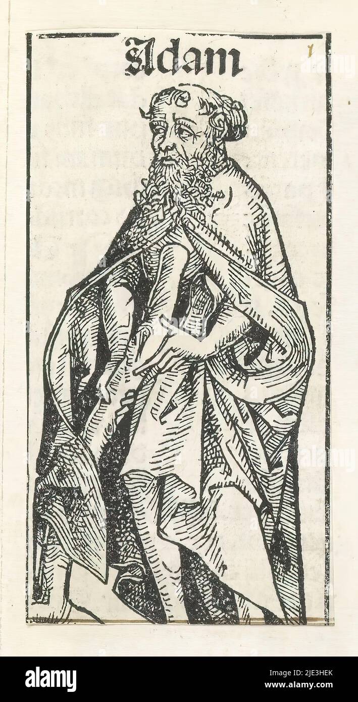 Genealogy tree of adam hi-res stock photography and images - Alamy