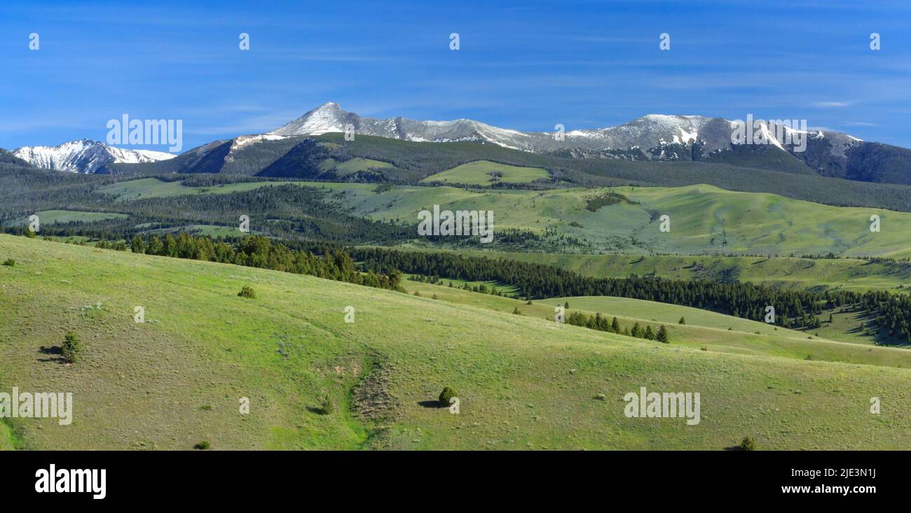 panorama of meadows below the flint creek range near deer lodge ...