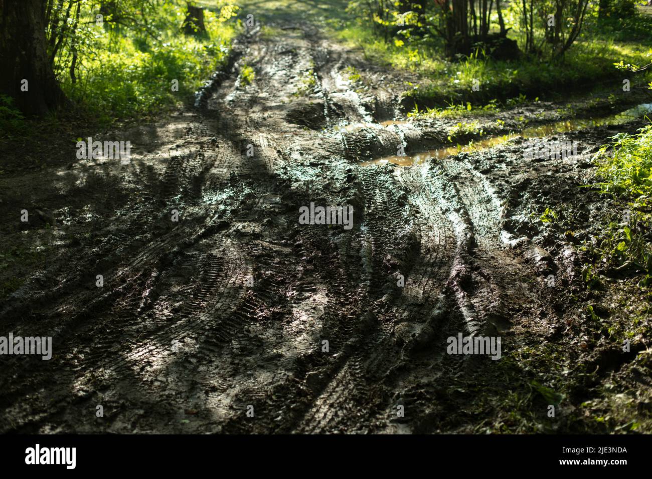 Muddy road in woods. Earthen road in park. Impassable place in nature ...