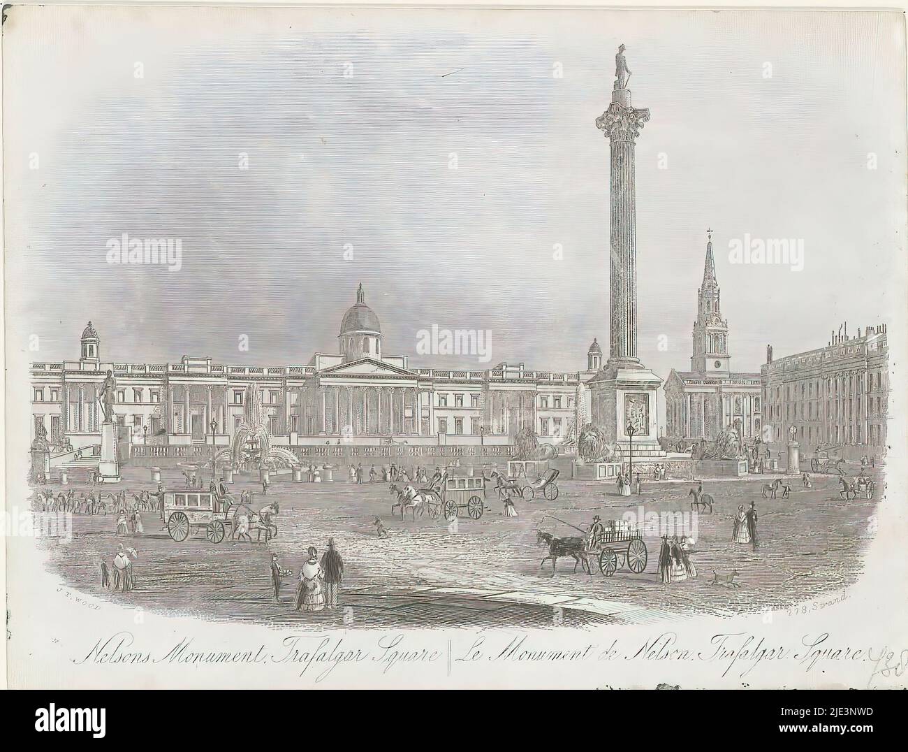 View of Nelson's Column, at London, Nelson's Monument, Trafalgar Square ...