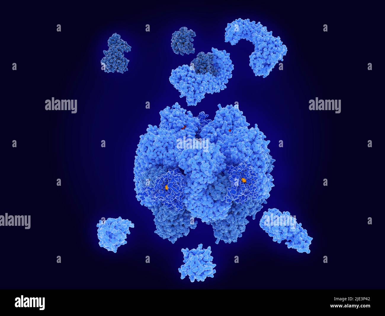 Illustration of danger-associated molecular patterns (DAMPs) and ...