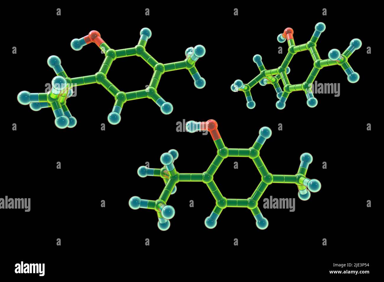 Thyme illustration hi-res stock photography and images - Alamy