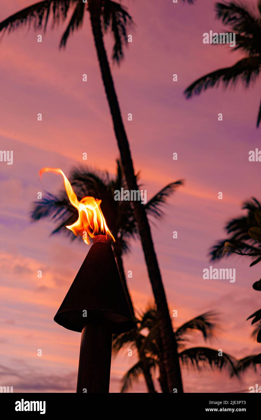 Palm tree silhouettes and the flame from a tiki torch dances at sunset ...