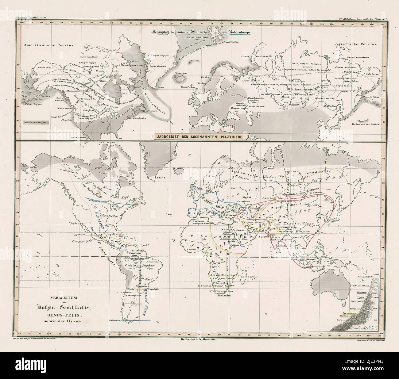 World map showing height hi-res stock photography and images - Alamy