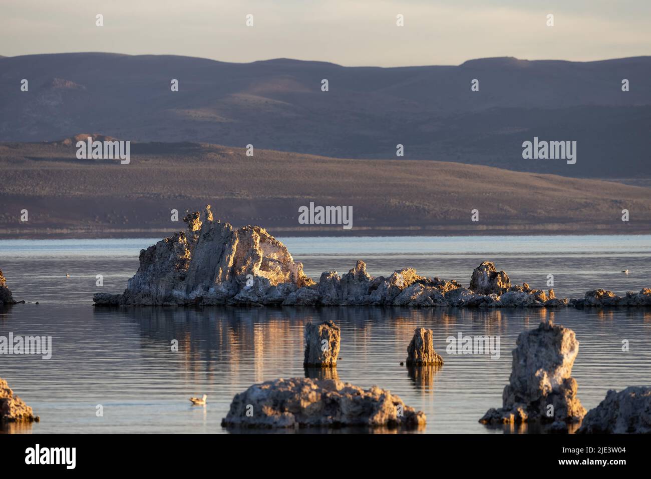 Tufa towers rock formation in Mono Lake. Sunny Sunrise Stock Photo - Alamy