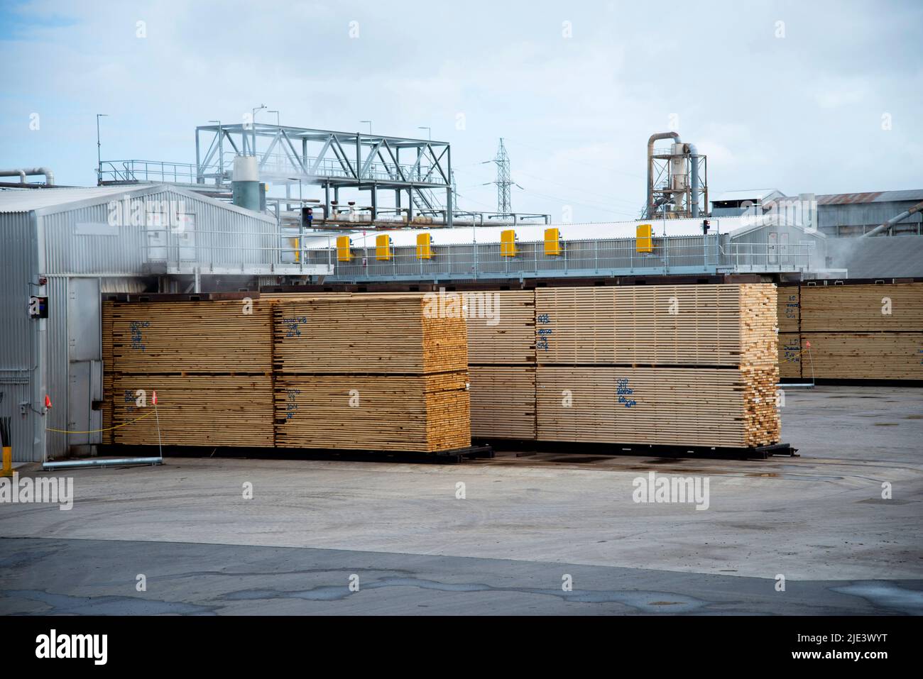 Sawmill for the Timber Industry Stock Photo - Alamy