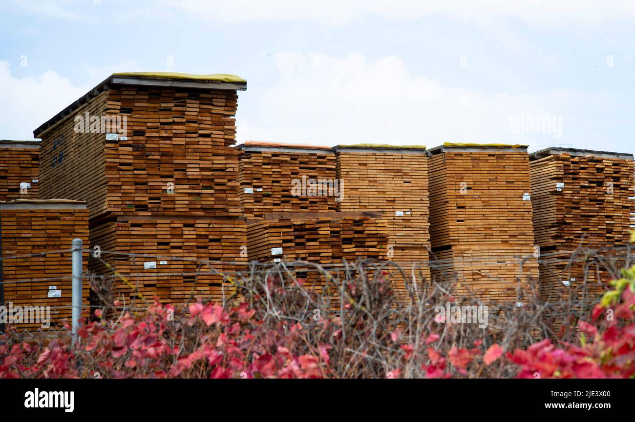Australia timber industry hi-res stock photography and images - Alamy