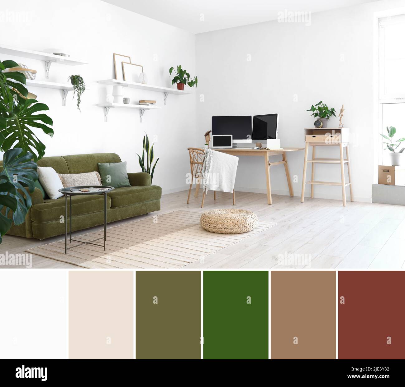 Modern Workplace And Sofa In Stylish Room Different Color Patterns