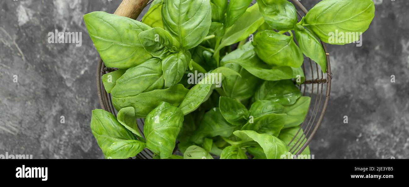 Fresh basil in basket on grey background, top view Stock Photo - Alamy