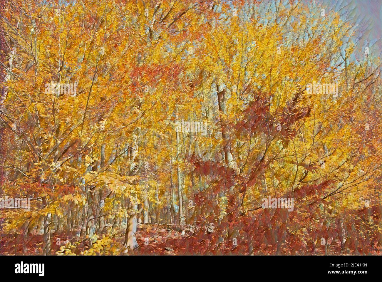 A painted image of autumn trees shining bright in the sunlight. The ...