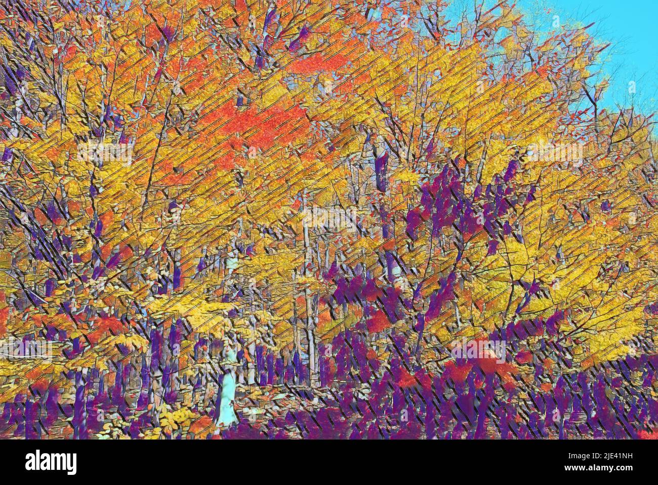 A painted image of autumn trees shining bright in the sunlight. The ...
